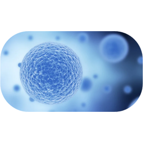 Exosomes – MORIMANA | MMSTUDIO